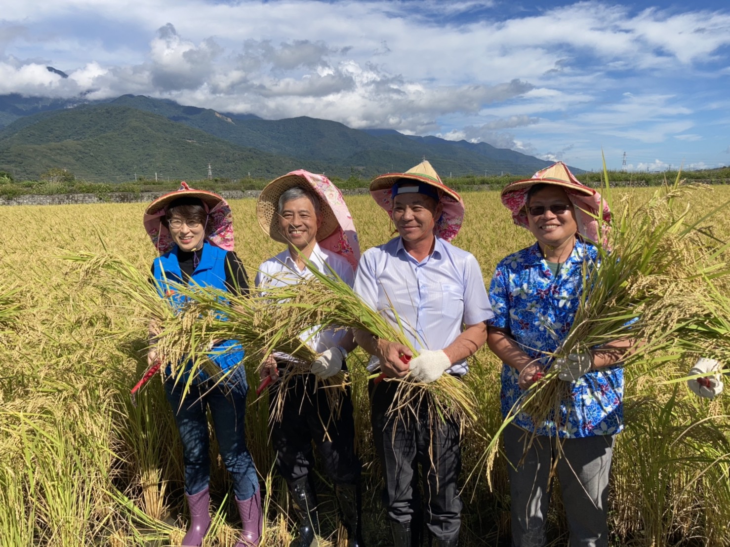 Hakka Rice Harvest Festival kicks off in Taitung | Hakka Affairs Council